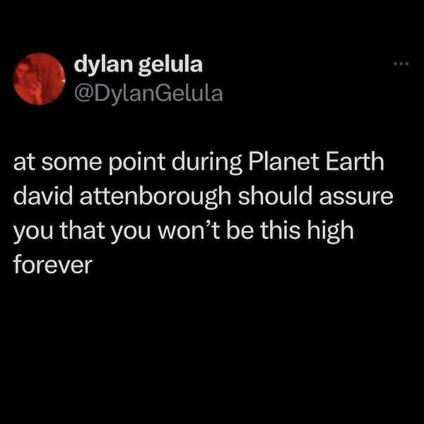 Daily Evening Randomness