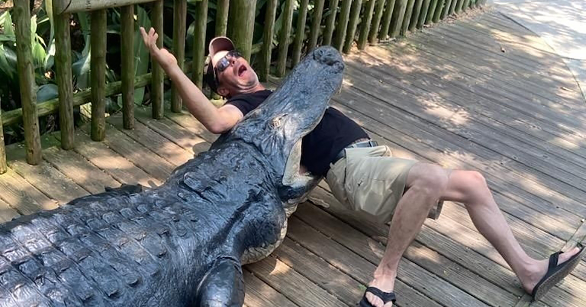 Daily Morning Awesomeness | Awesome Morning Pics, Gifs & More - theCHIVE