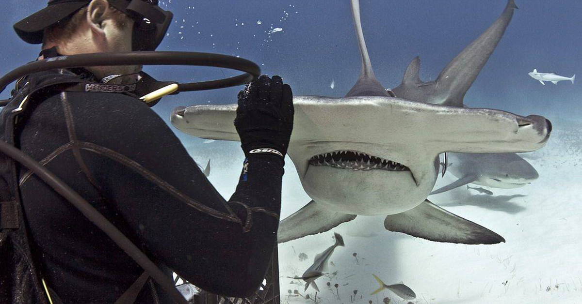 Daily Morning Awesomeness | Awesome Morning Pics, Gifs & More - theCHIVE