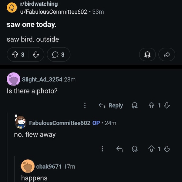 Silly Stupid Memes for Snoozy Sunday Sloths (31 Photos)