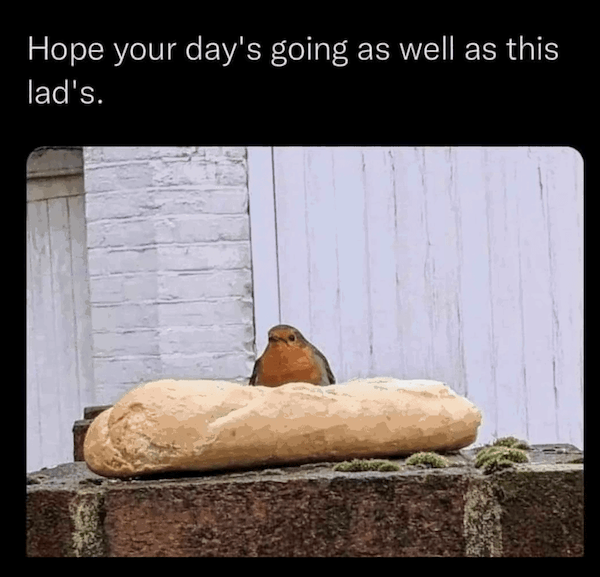 Daily Evening Randomness