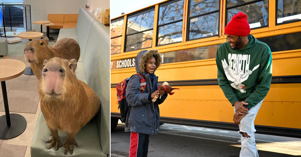 Beautiful Pictures | Pretty Pics - theCHIVE