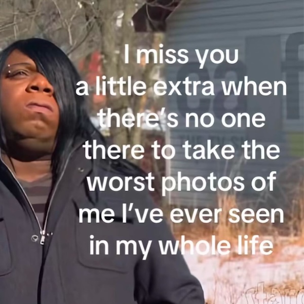 Silly Stupid Memes for Snoozy Sunday Sloths (31 Photos)