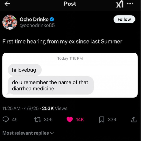 Silly Stupid Memes for Snoozy Sunday Sloths (31 Photos)