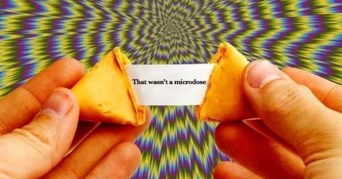 Daily Afternoon Randomness | Random Memes, Photos & Gifs - theCHIVE