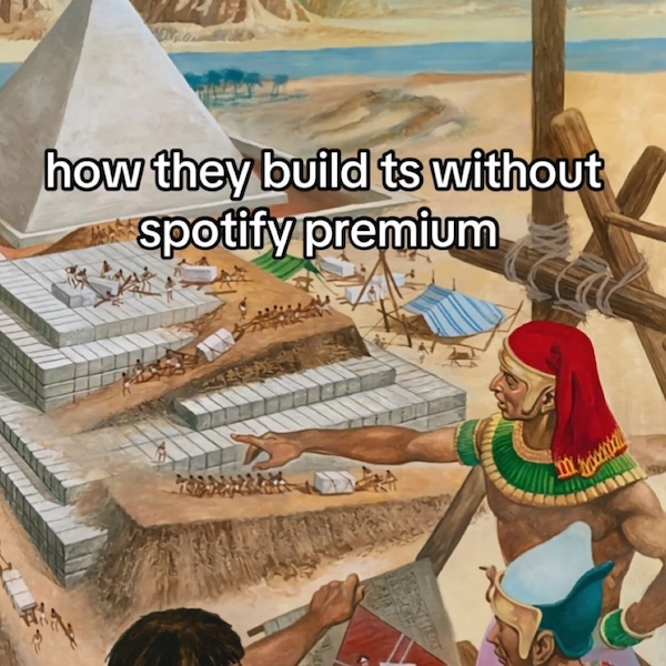 Silly Stupid Memes for Snoozy Sunday Sloths (31 Photos)