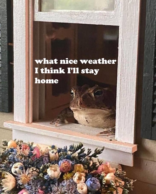 Daily Evening Randomness