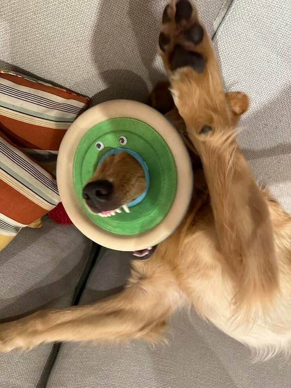 Wake up and experience some photo awesomeness