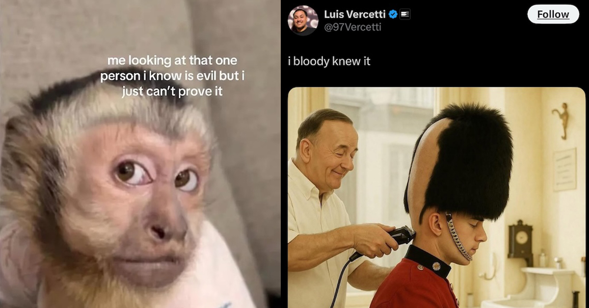 Dark Humor Memes, GIFs, Videos and More - theCHIVE