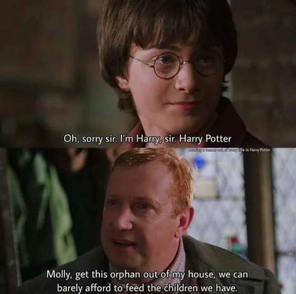 Harry Potter Memes Make Me Chucklepuff