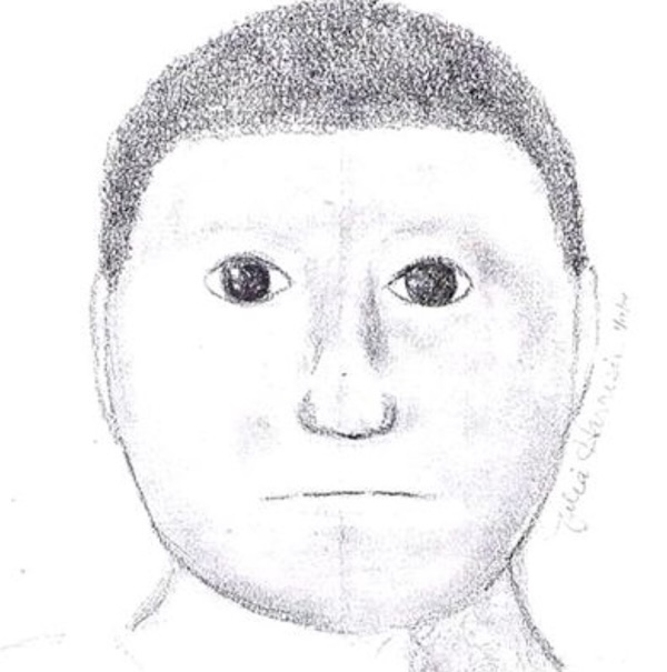 'Pencils Down!': 25 ridiculous police sketches drawn by professionals