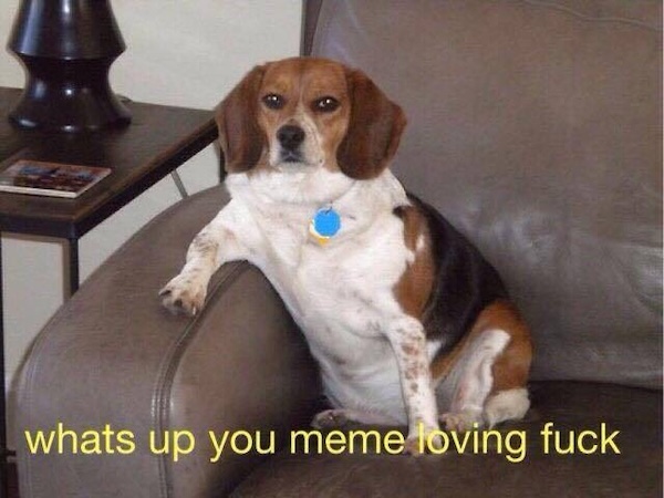 Daily Evening Randomness