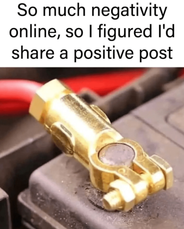 Wholesome Memes Bring the Good Vibes