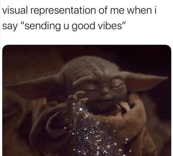 Wholesome Memes Bring the Good Vibes