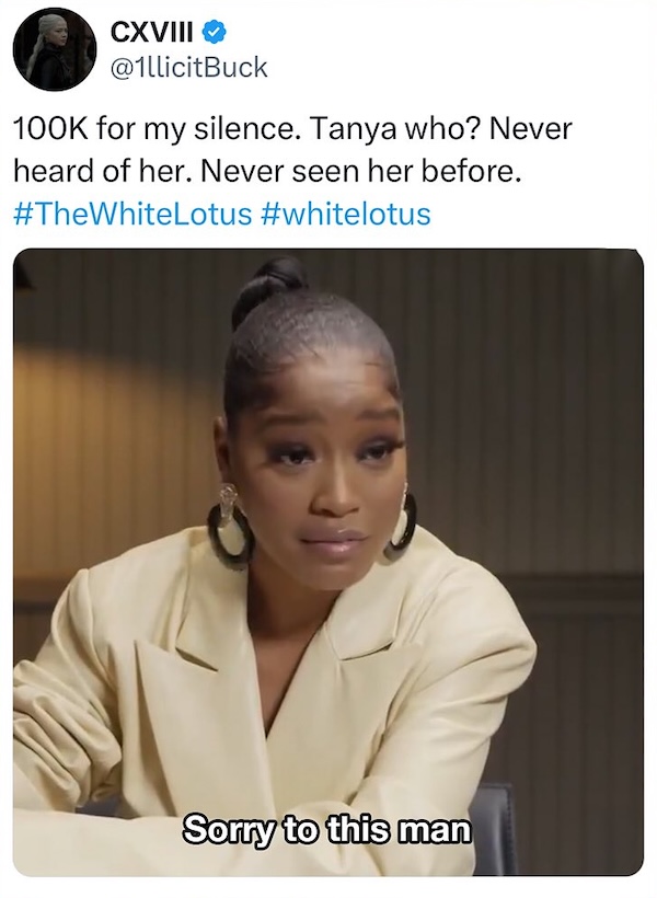 Hilarious 'White Lotus' Memes Ahead of Tonight's Finale (44 Photos)