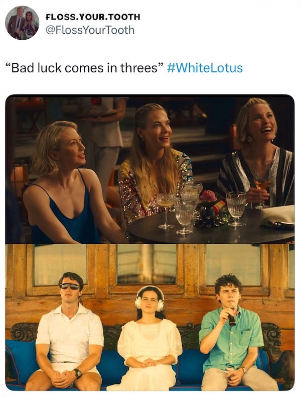 Hilarious 'White Lotus' Memes Ahead of Tonight's Finale (44 Photos)