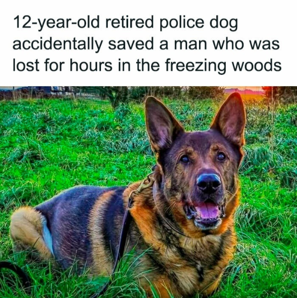 Good News Around the Globe Is Just What You Need