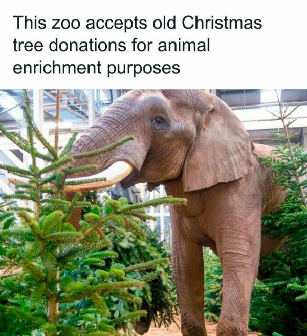 Good News Around the Globe Is Just What You Need