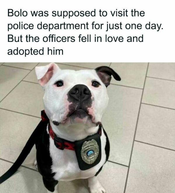 Good News Around the Globe Is Just What You Need