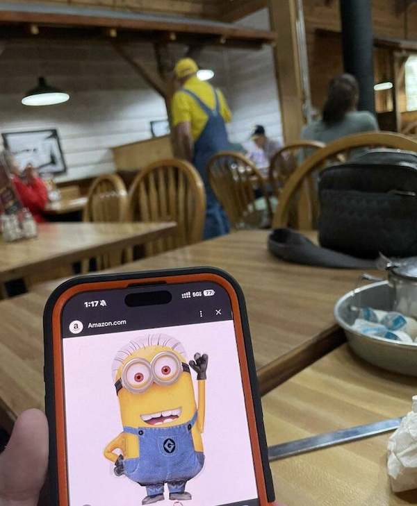 Daily Morning Awesomeness is a breath of fresh viral morning air