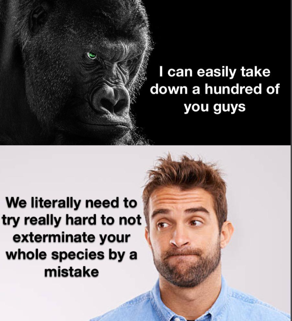 A Day Without Dank Memes Is a Sad Day