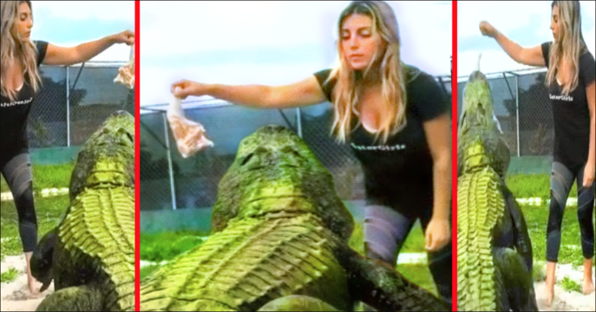 Awesome Photos | Daily Awesome Videos & Awesome GIFs - theCHIVE