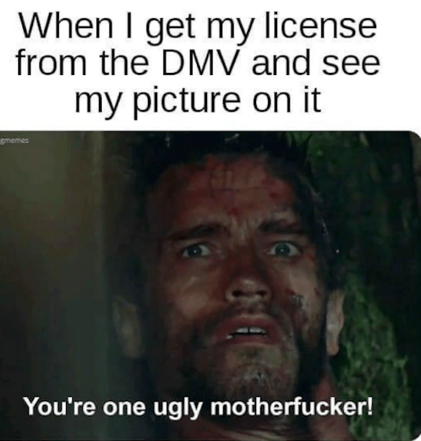 Cheesy Memes Funny Jokes Stupidly Simple Thoughts Photo Captions 2025