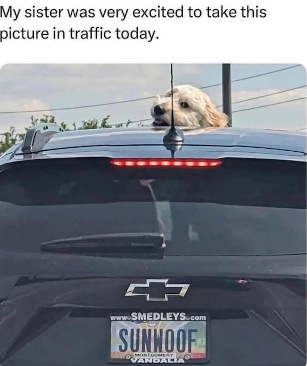 Dad jokes to bring you into the weekend