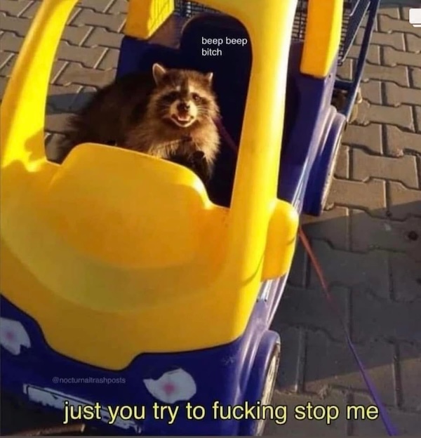 Daily Evening Randomness