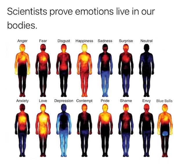 Daily Evening Randomness (Nightcap)