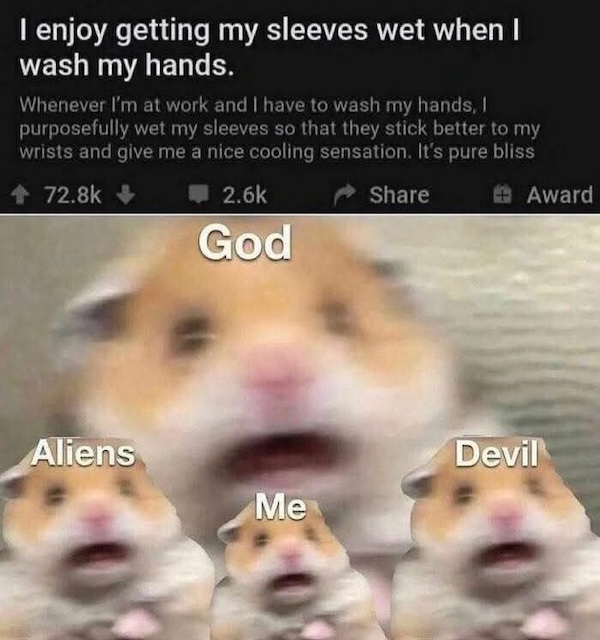 Daily Evening Randomness (Nightcap)