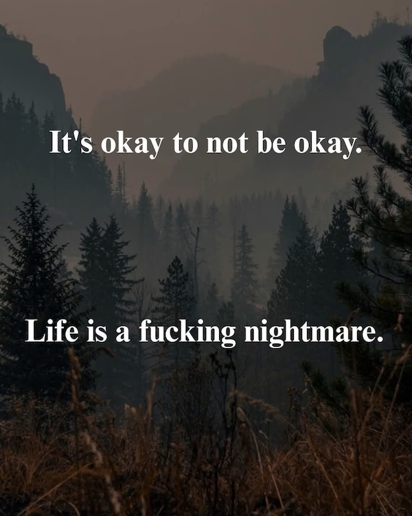 Daily Evening Randomness (Nightcap)