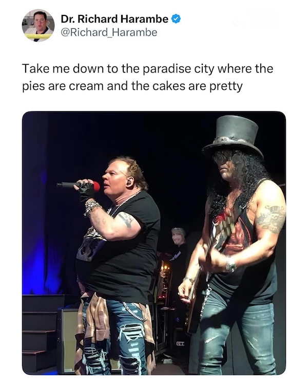 Daily Evening Randomness