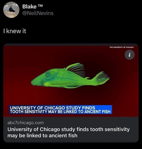 Daily Evening Randomness (Nightcap)