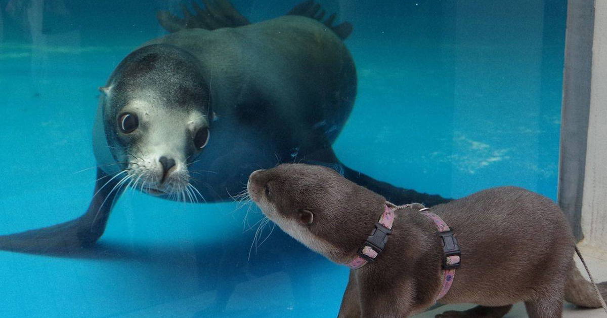 Daily Morning Awesomeness | Awesome Morning Pics, Gifs & More - theCHIVE