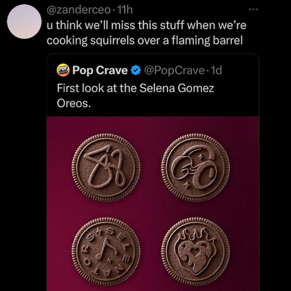 Silly Stupid Memes for Snoozy Saturday Sloths (33 Photos)