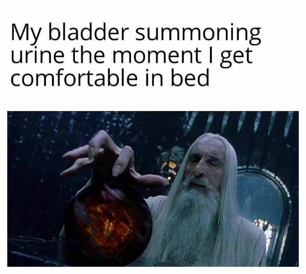 A Day Without Dank Memes Is a Sad Day