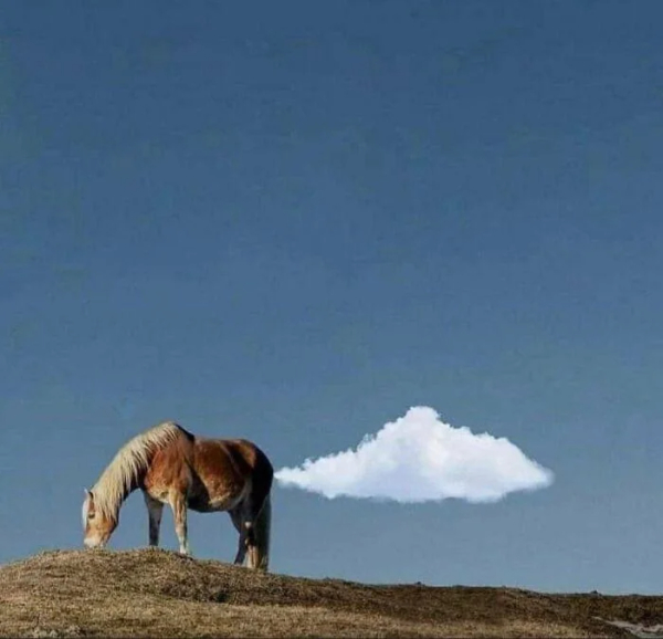 Hmm... the Internet Is a Strange Place