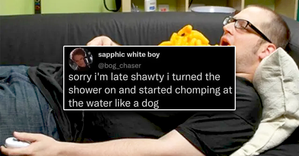 Silly Stupid Memes for Snoozy Saturday Sloths (33 Photos)