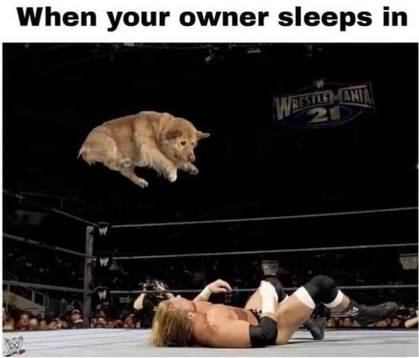 Daily Evening Randomness