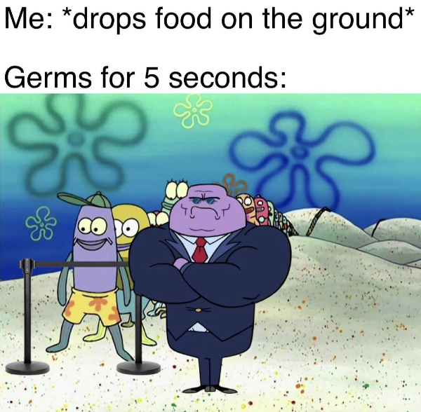 A Day Without Dank Memes Is a Sad Day