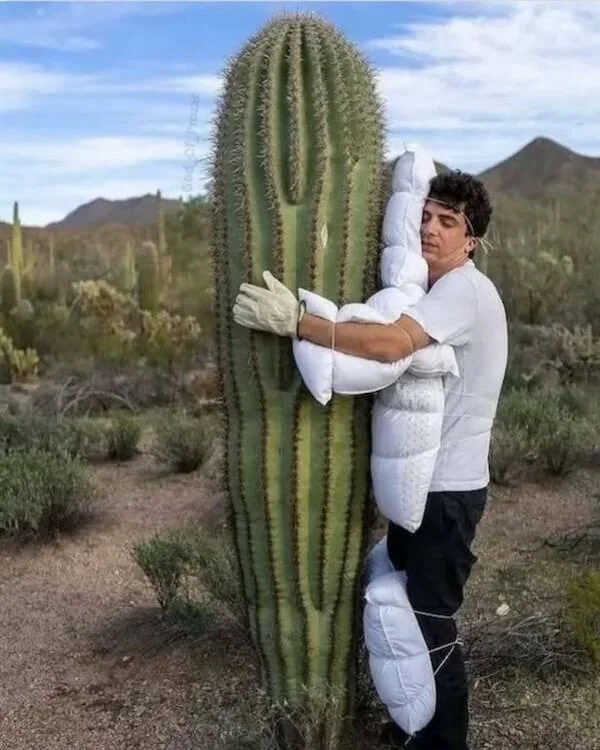 Hmmm... Random? Yes. Funny? Yes.