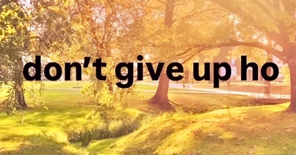 Daily Afternoon Randomness | Random Memes, Photos & Gifs - theCHIVE