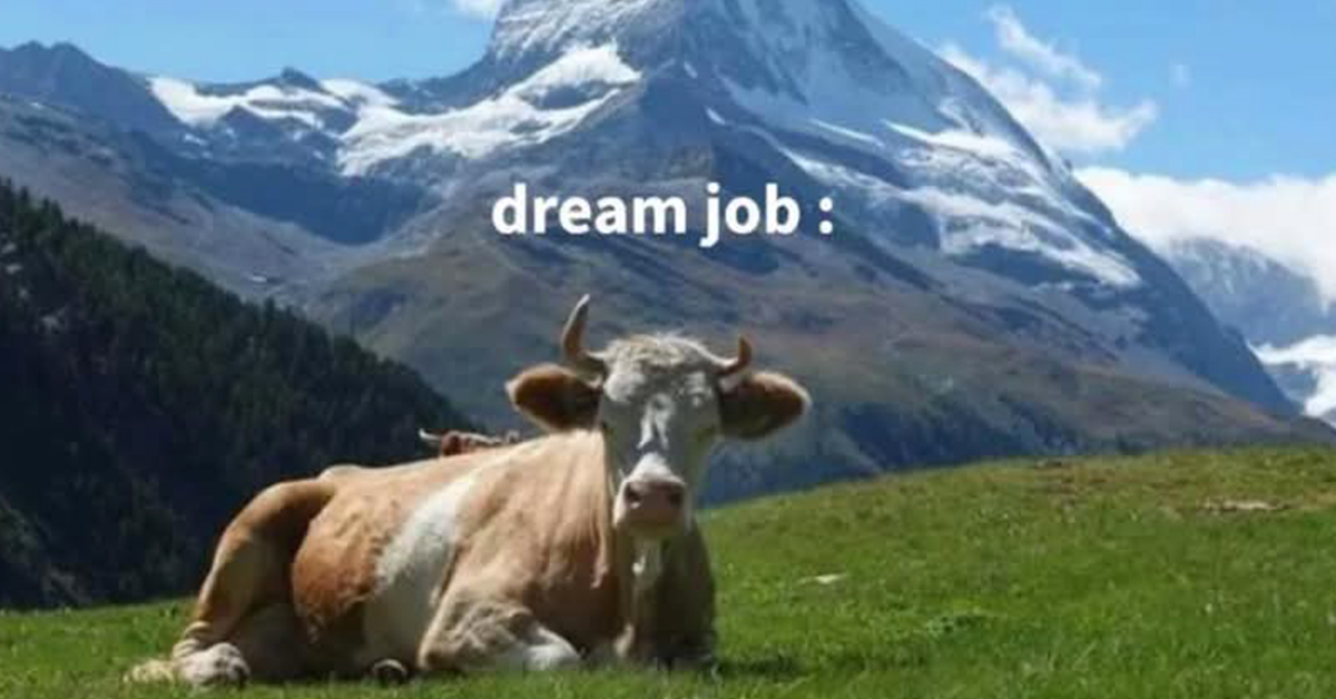 Daily Evening Randomness