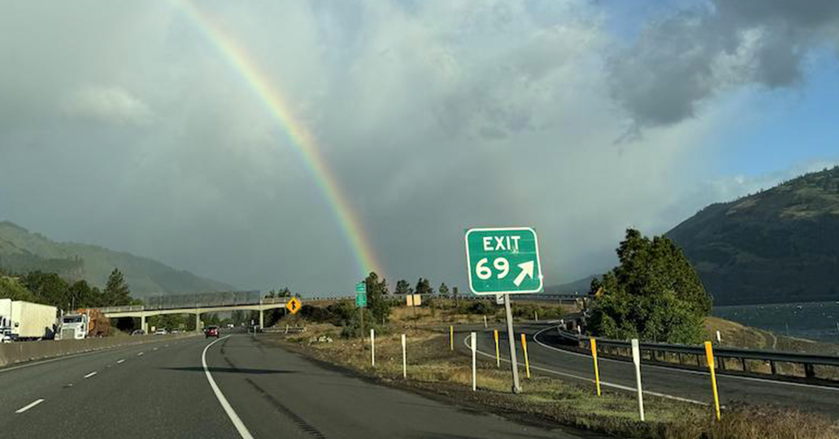 Daily Afternoon Randomness | Random Memes, Photos & Gifs - theCHIVE