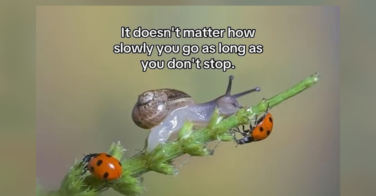 Beautiful Pictures | Pretty Pics - theCHIVE