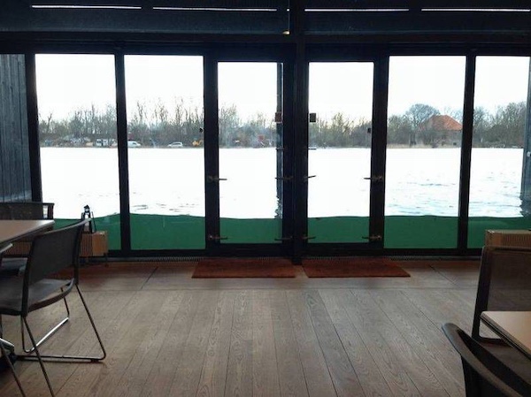 Daily Morning Awesomeness is a breath of fresh viral morning air