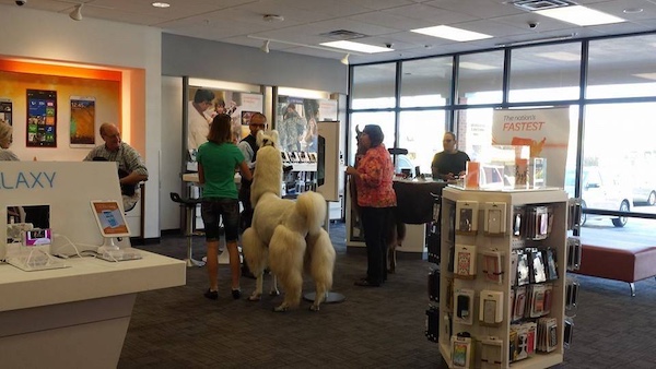 Daily Morning Awesomeness is a breath of fresh viral morning air