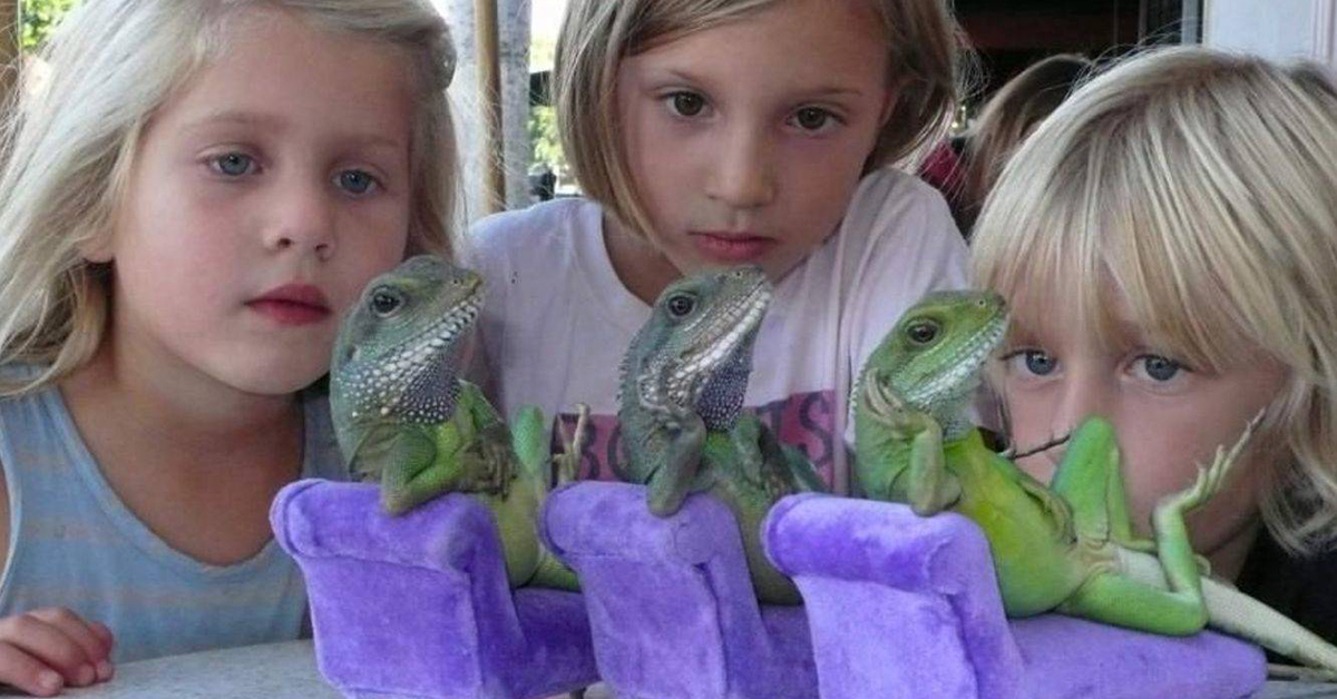 Funny Animal Pictures | Funny Pet Videos - theCHIVE