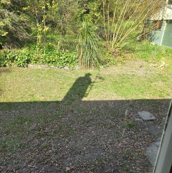 Bizarre shadows are showing off sights and images we cannot mistake